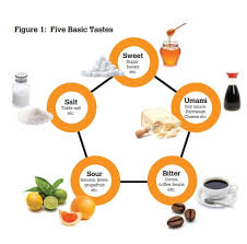 The Shaky Standard Taste Model – Exploring the Philosophy of Food and Wine
